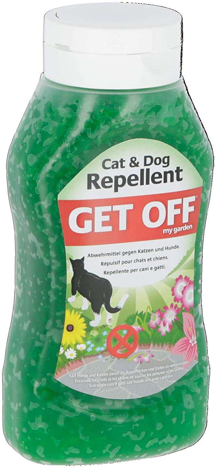 Les 5 meilleurs répulsifs anti-chat - mister chat