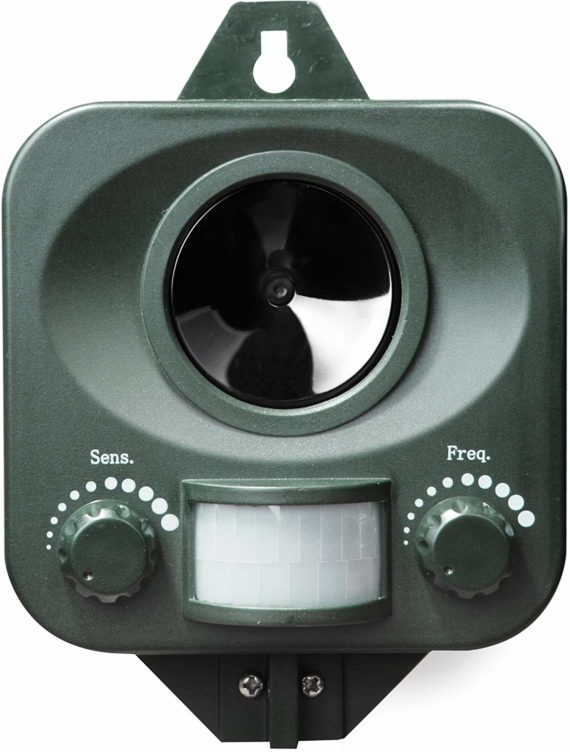 Les 5 meilleurs répulsifs anti-chat - mister chat