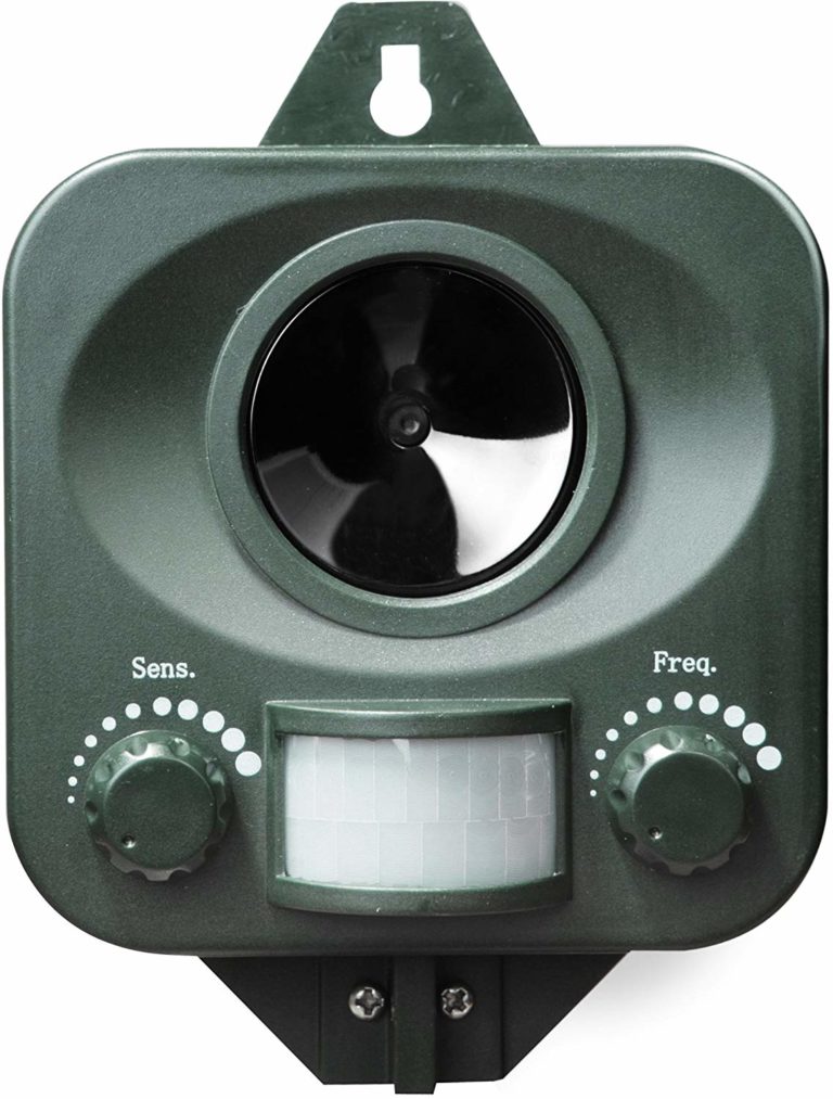 Les 5 meilleurs répulsifs anti-chat - mister chat