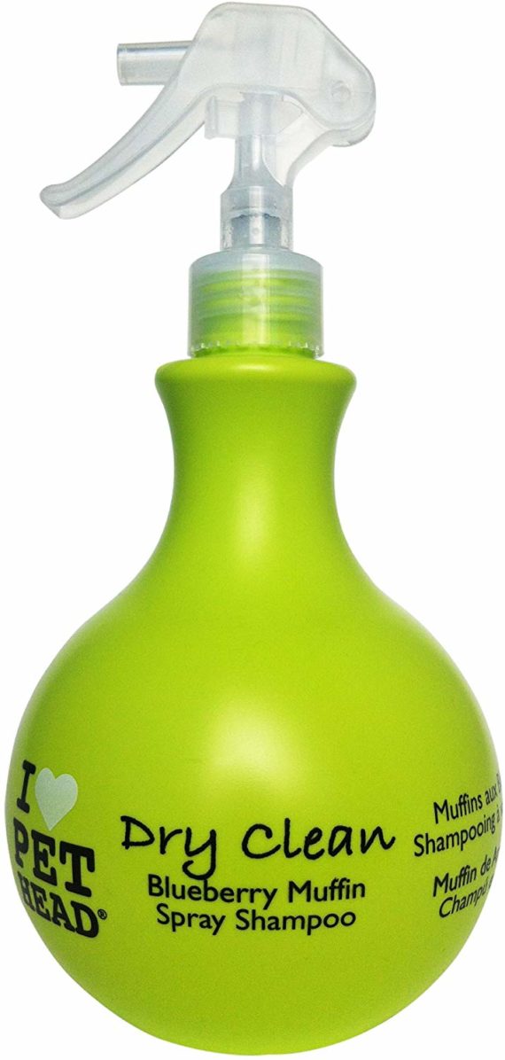 Les 5 meilleurs shampooings pour chat - mister chat