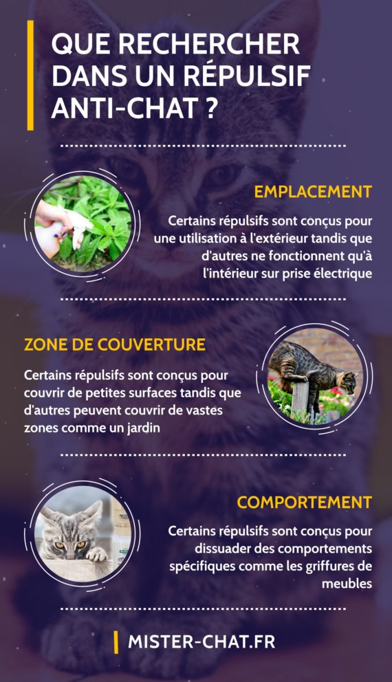 Les 5 meilleurs répulsifs anti-chat - mister chat